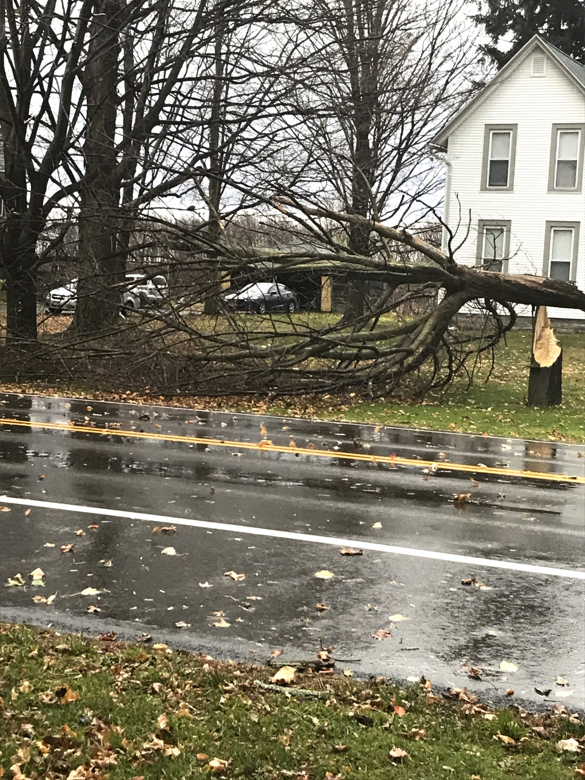 Highest Wind Gust In Region At 69 MPH, Weather Service Notes | News ...